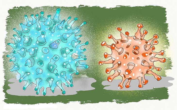 Ringelröteln - Symptome, Aussehen & Behandlung